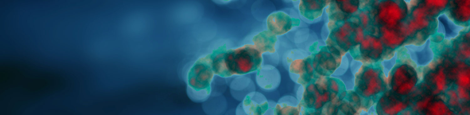 Immune System Basics - Diamond V