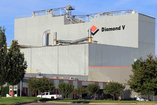 - Diamond V