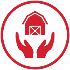 Postbiotic Animal Feed Additive - XPC® Ultra - Diamond V