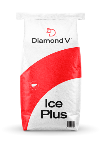 Diamond V™ Ice Plus - Diamond V