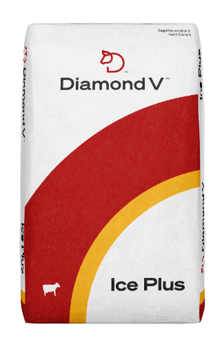 Diamond V Ice Plus - Diamond V