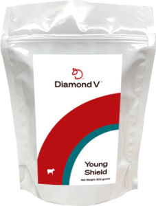 Ruminant - Diamond V