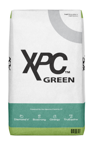 XP™ / XPC™ Product Line - Diamond V
