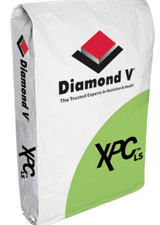 XP™ / XPC™ Product Line - Diamond V