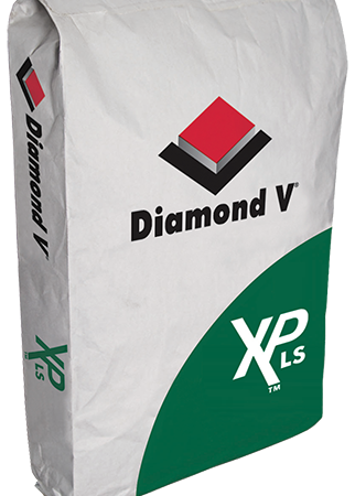 XP™ / XPC™ Product Line - Diamond V
